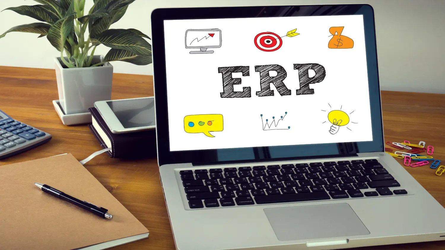 Eight Ways to Minimize ERP System Implementation Risks
